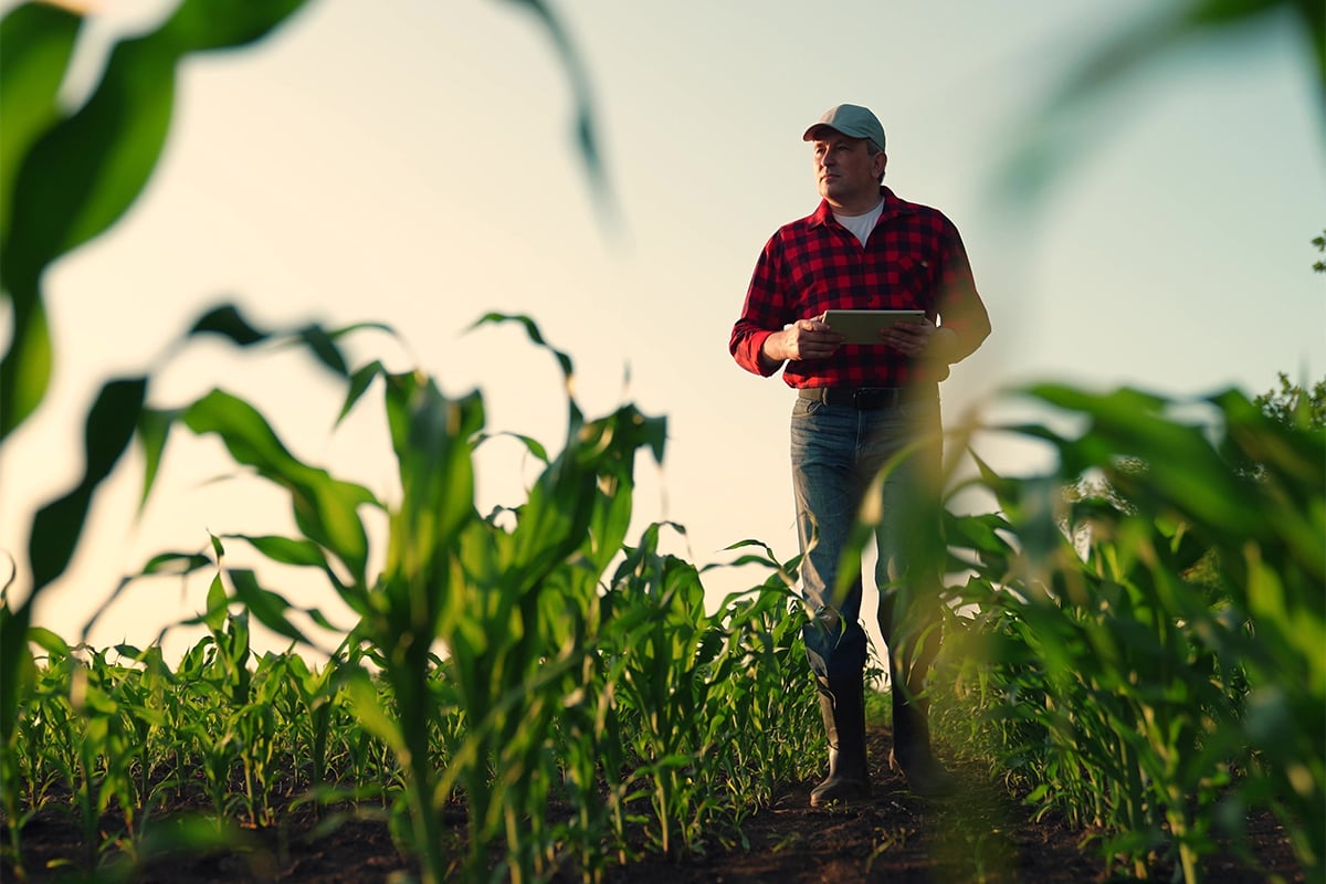 Stay connected with in-depth farmer insights