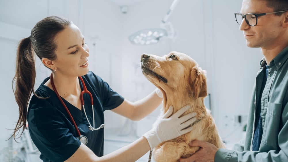 Co-campaign to recognize the dedication of the veterinary profession ...